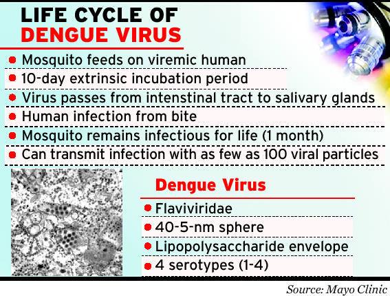 Dengue Introduction