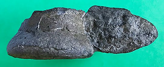 PALEO & GEO TOPICS: Comments by R. L. Squires: Maclurites, an early ...