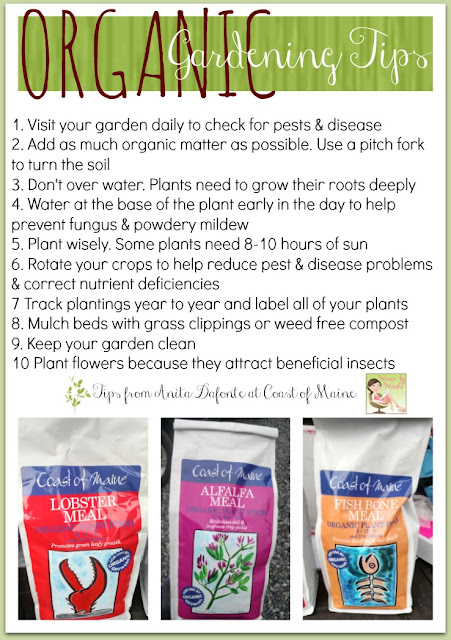 Woven by Words: 10 Organic Gardening Tips And How-To Improve Garden ...