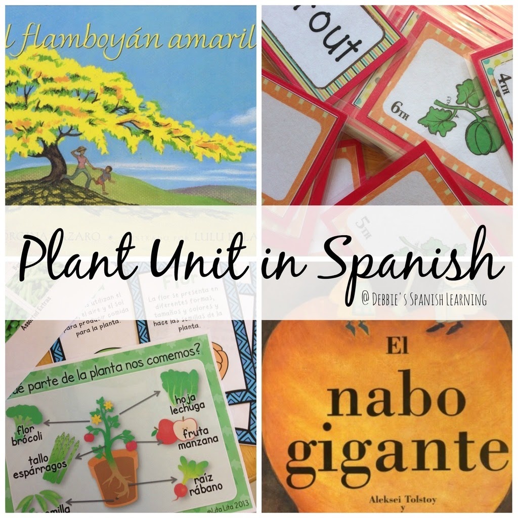 Debbie's Spanish Learning: Teaching Ideas for Spanish in the Spring