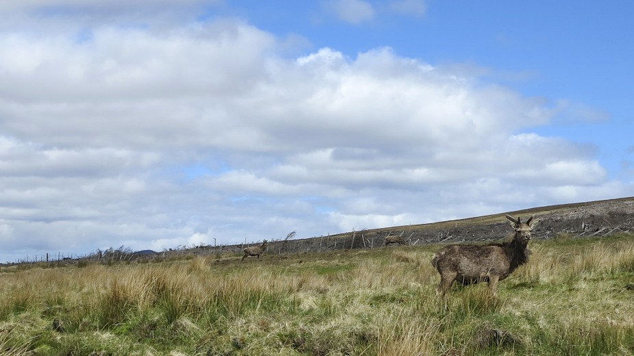 MARGARET THATCHER MOVED TO SCOTLAND: Strathnaver Trail