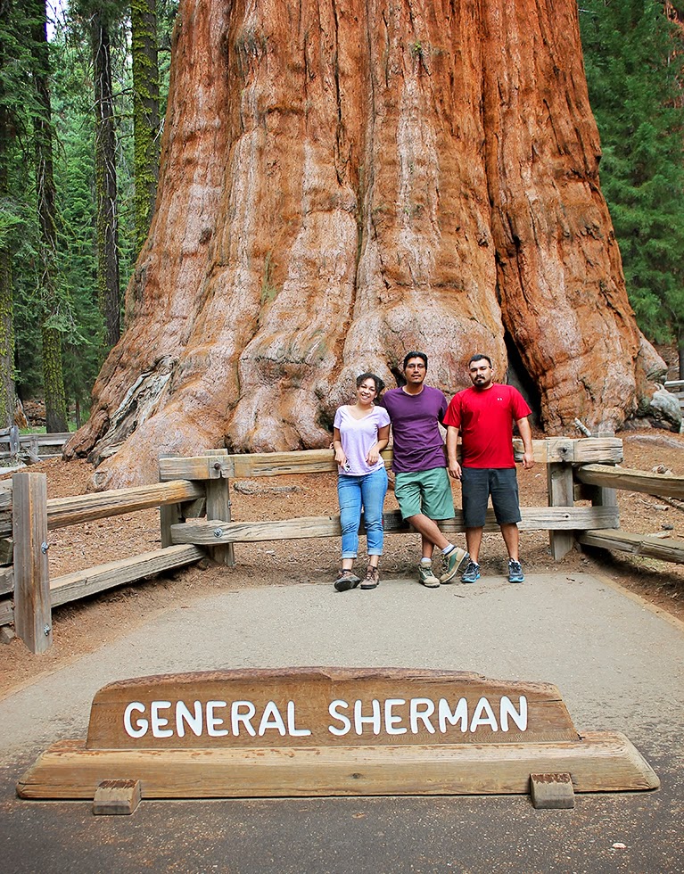 Visalia, CA | A•Mused