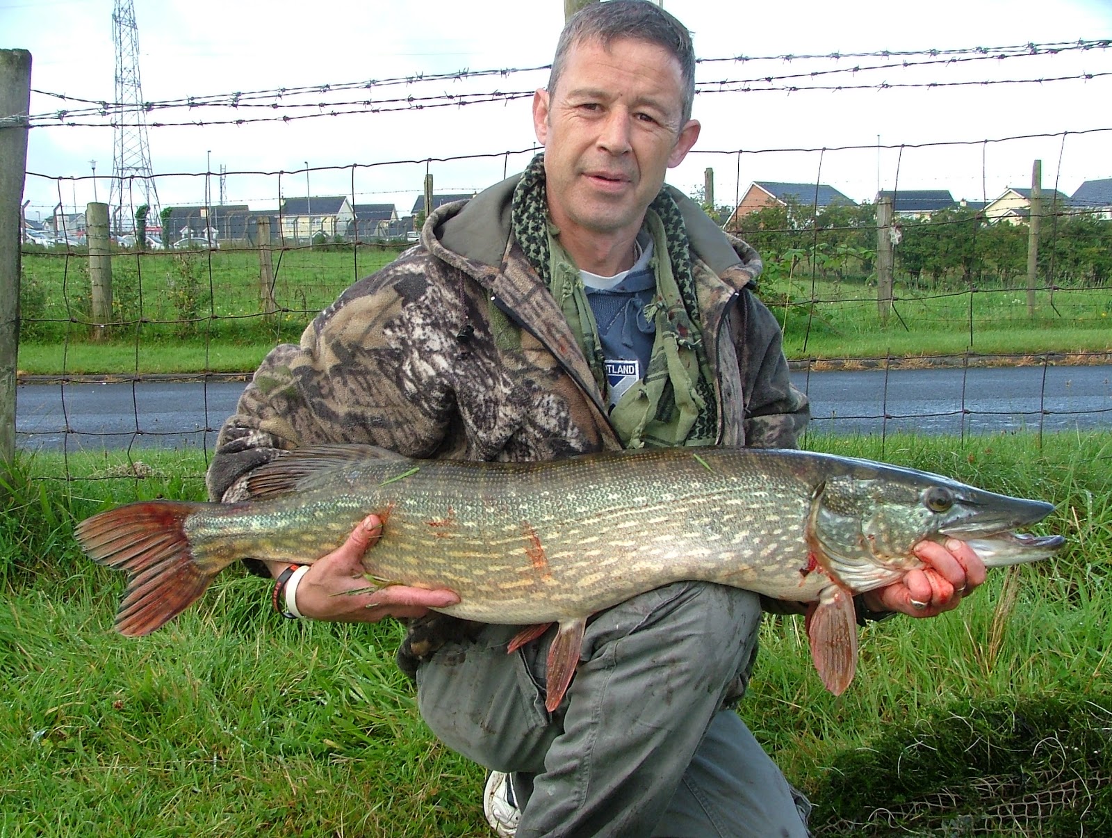 Fish of the Month September Entry - Goldfish Predator!