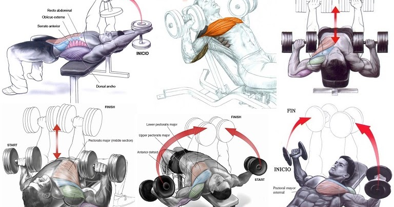 The Best Dumbbell Chest Exercises - Bodydulding