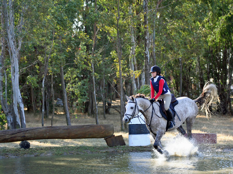 Alles en sommer wat nog..: Perde koop is mos nou nie trou nie.