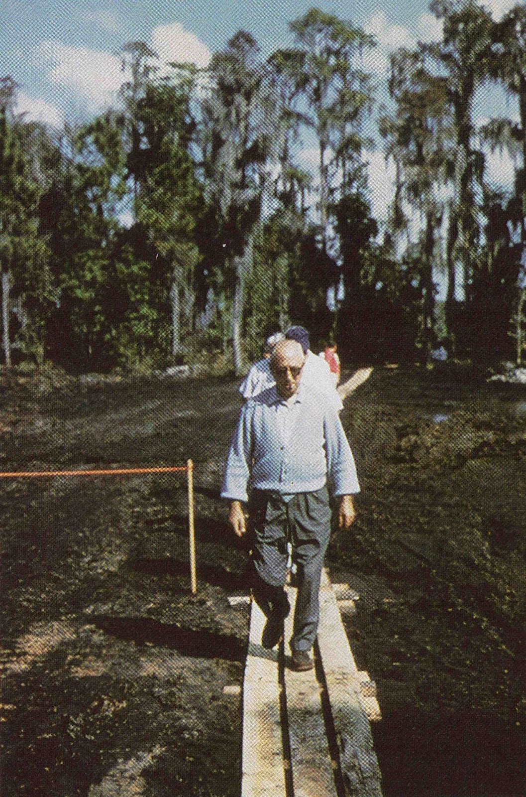 Disney Avenue: A Heartfelt Tribute to Roy O. Disney Including 24 Rarely ...