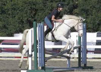 Horse Radish- Straight from a Horses Mouth: Tuesday Information- Types ...