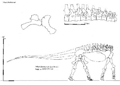 Escenarios prehistóricos: Tehuelchesaurus