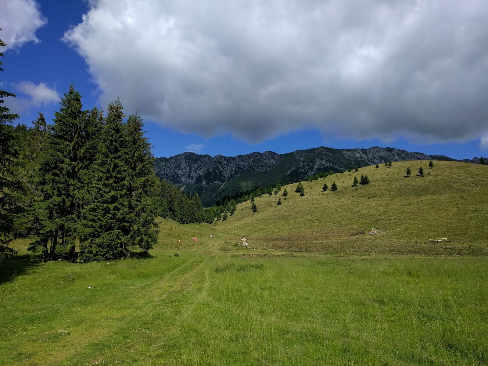 Blog de Calatorii si Drumetii Montane.: Piatra Craiului(Pestera-Saua ...