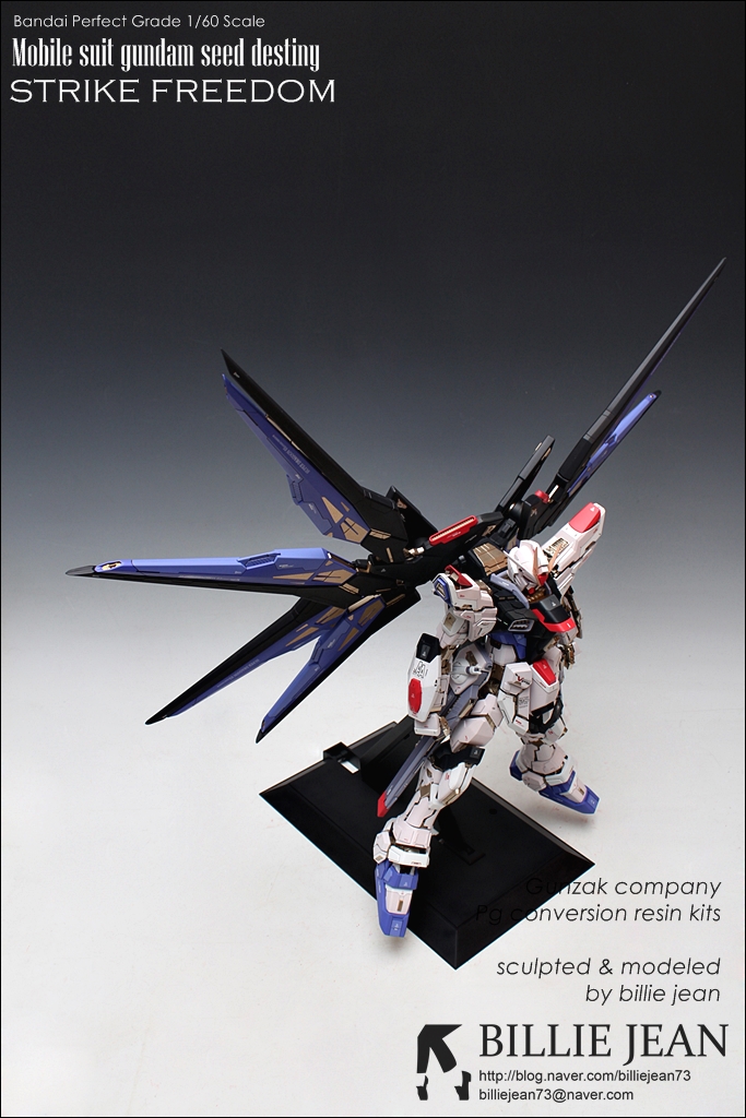 Custom Build: PG 1/60 Strike Freedom Gundam "Detailed"