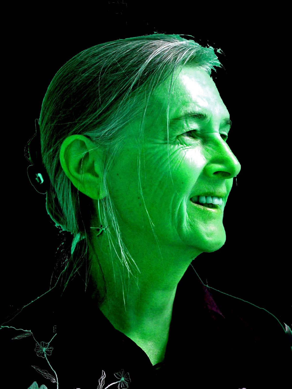 VIRIDIAN by Susan Gates