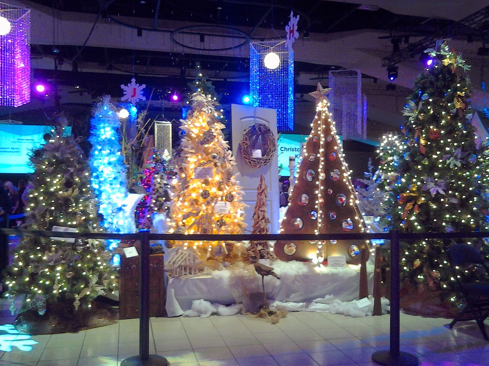 Winding Spiral Case: Festival of Trees