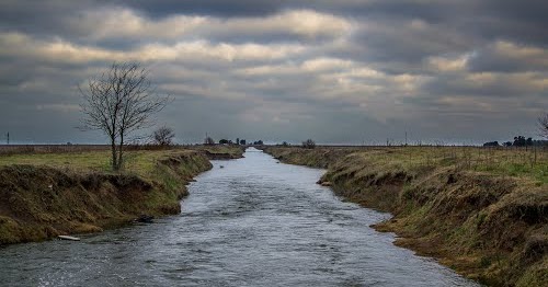 Diálogos: Río Quinto