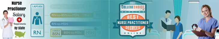 Neonatal Nurse Practitioner Programs Online | Nurse Practitioner Schooling