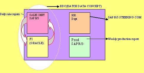 SAP ABAP: Types of Projects in SAP