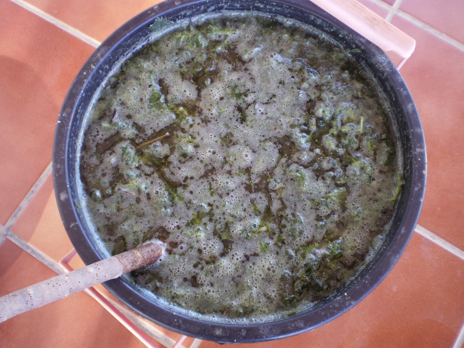 EL BLOG DE LA ELENA. UN BLOG DULCE, DIVERTIDO Y ENTRETENIDO: Purín de ...