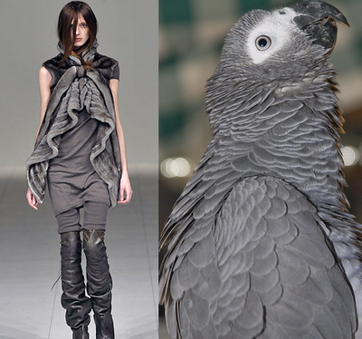 Vinita in Florence: Fashion Inspired By True Reality of Nature