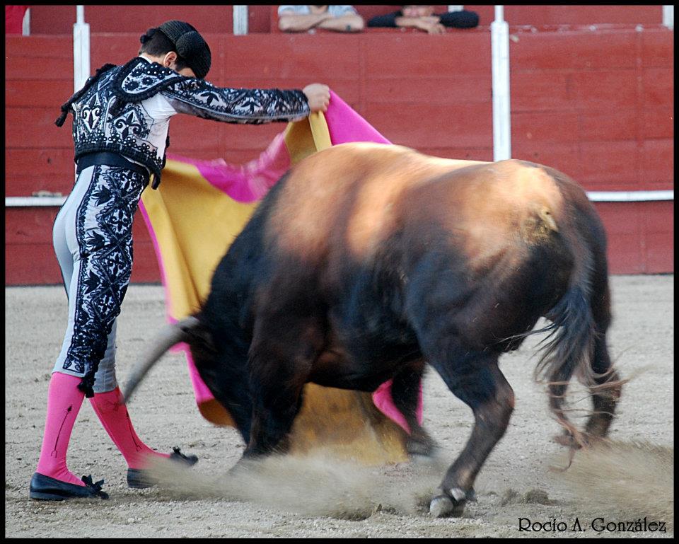 TORERIAS DE CHELIN: CESAR VALENCIA HOY EN NAMBROCA