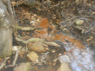 Hiking Curaçao - The Trails: Wandelverslag van Roi Kayuda, landhuis ...