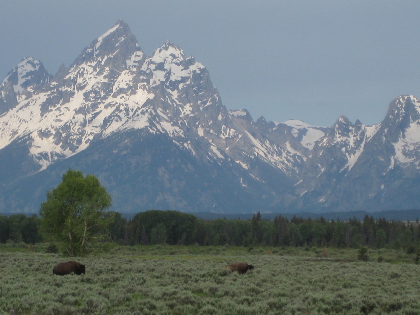 Critter Sitter's Blog: Western Scenery