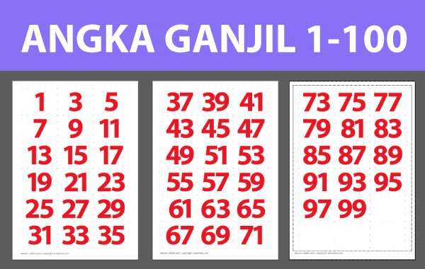 Bunda FZR: Belajar Bilangan Genap dan Ganjil