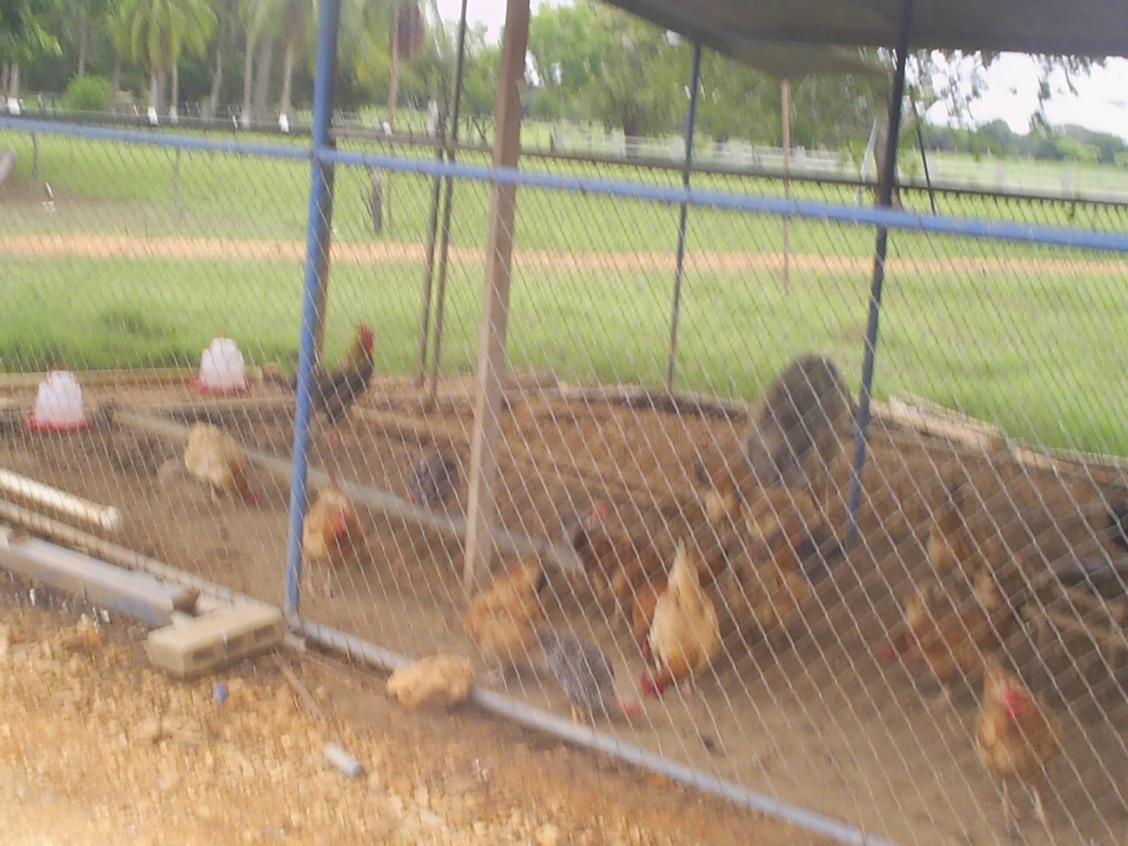 Haciendas Agroturisticas Pamel y Canajagua.