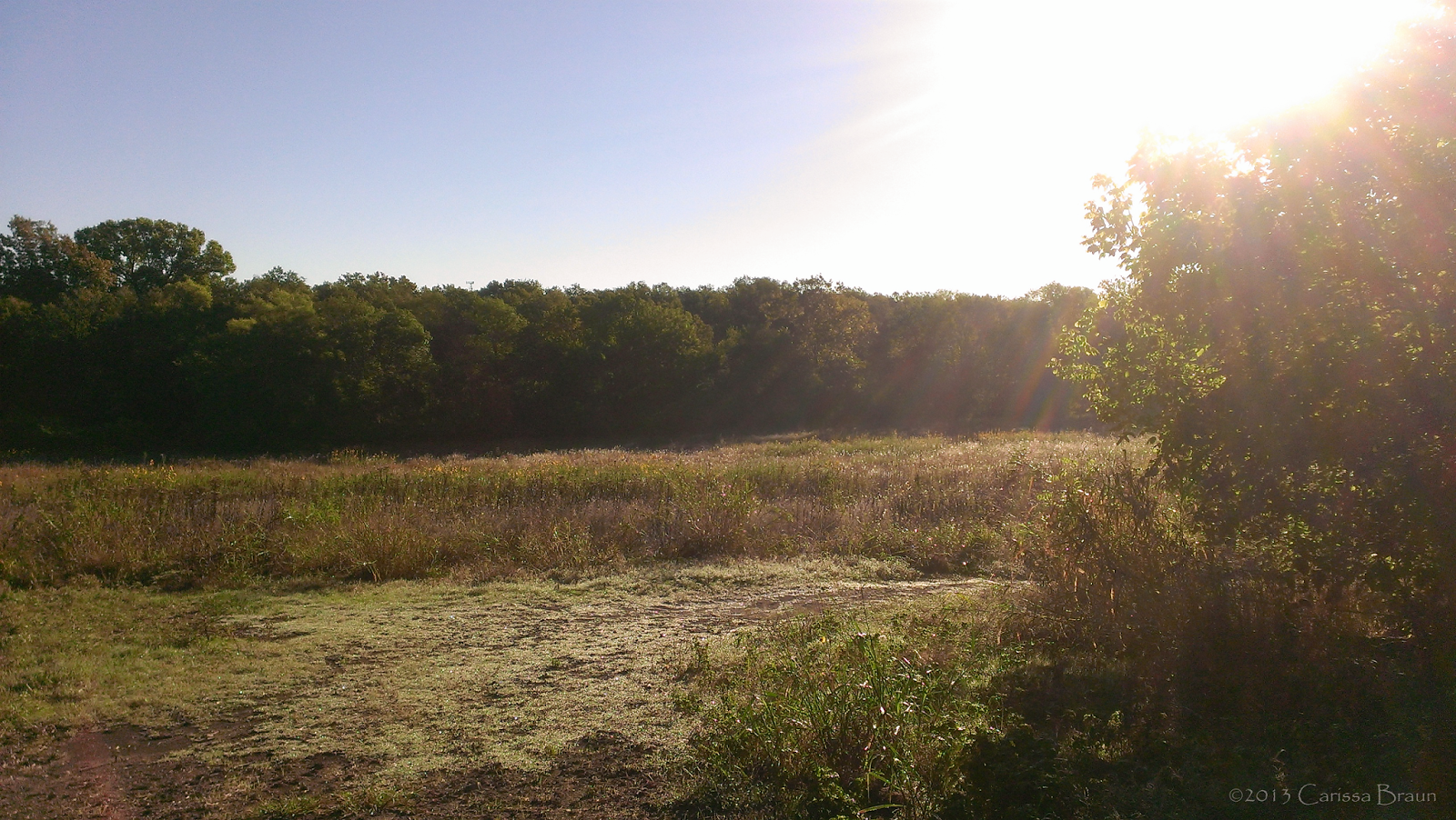 Nature Photography and Facts : Prairie Sunrise