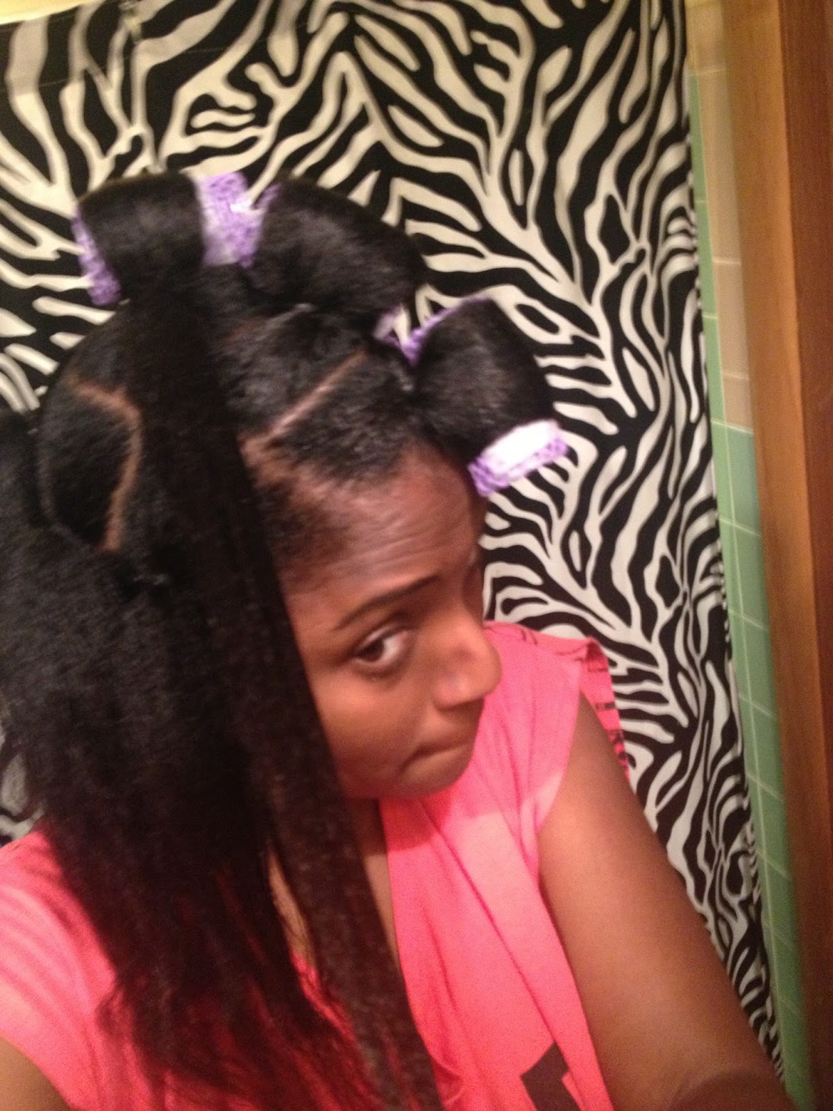 Revisting the Ponytail Rollerset | A Desired Beauty