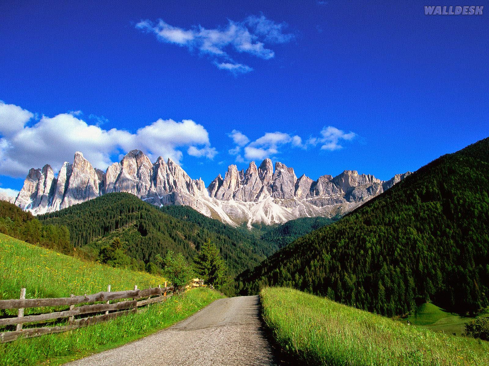 Papel De Parede Computador Dicas De InformáTica: Papel De Parede Para ...