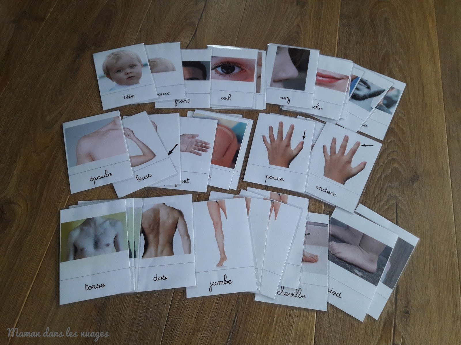 Maman dans les nuages: Cartes de nomenclature du corps humain {cartes à ...