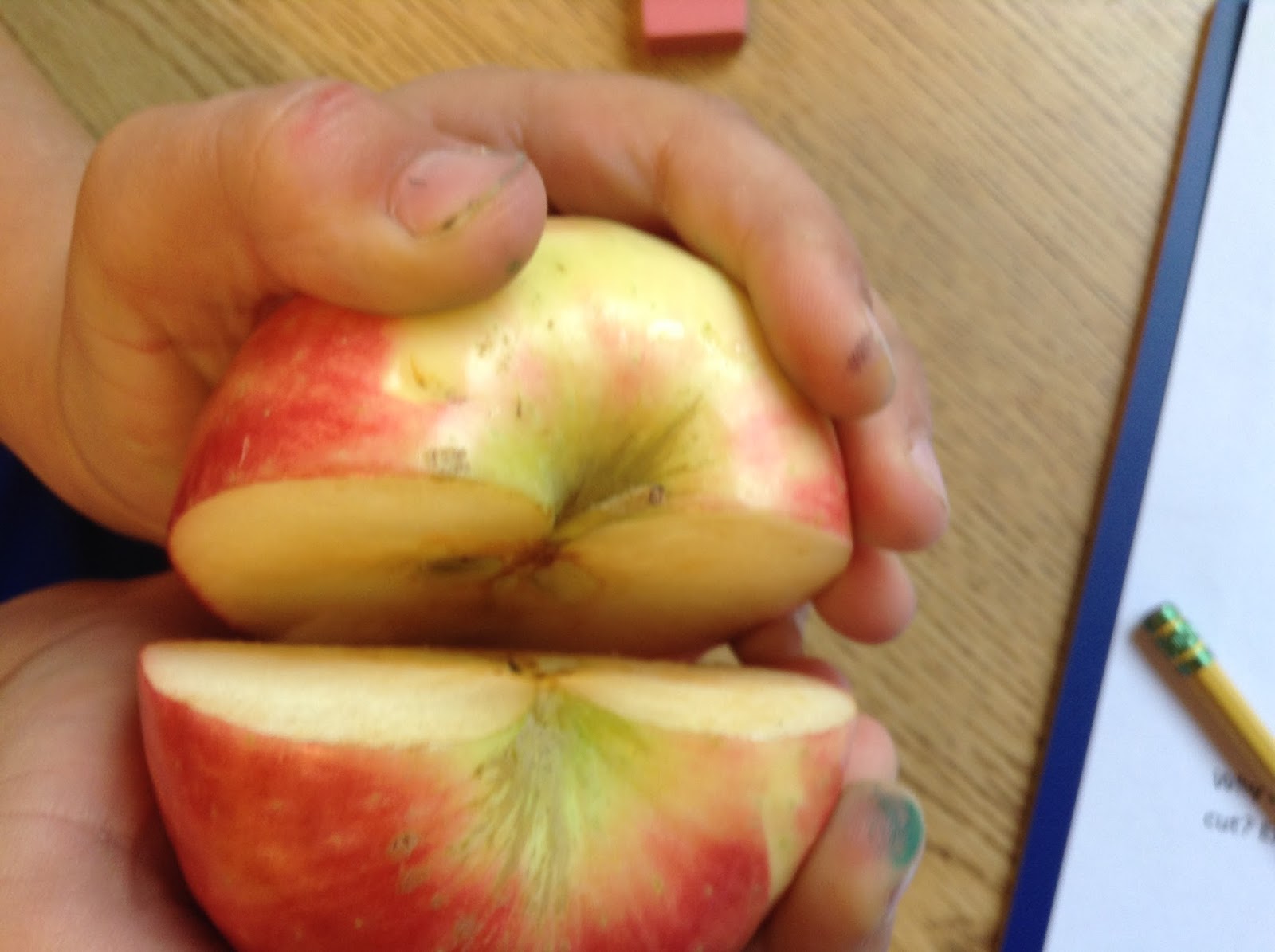 2H Class Blog!: September 2015