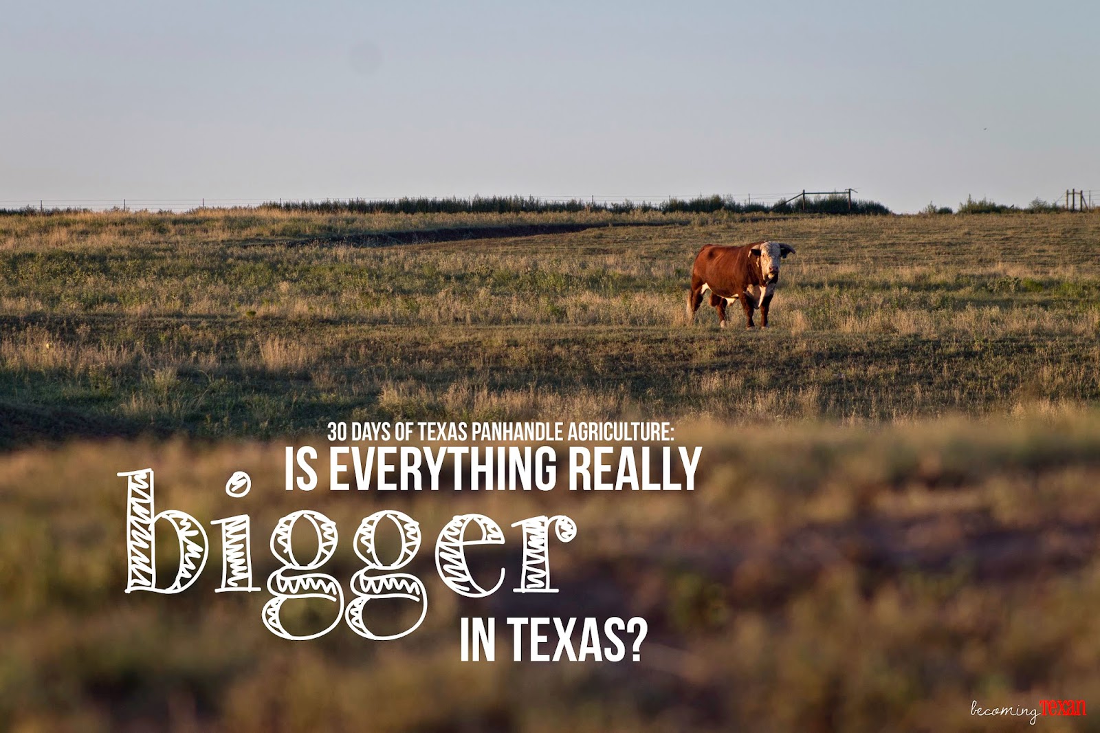 Becoming Texan: Is Everything Really Bigger in Texas?