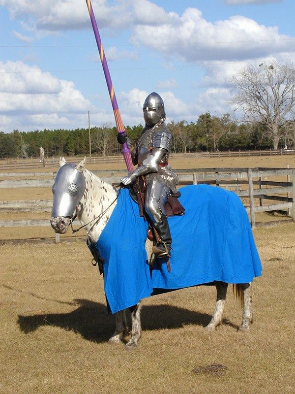 Greate Book of Fighters: 283_Kingdom of Trimaris_Barony of An Crosaire ...