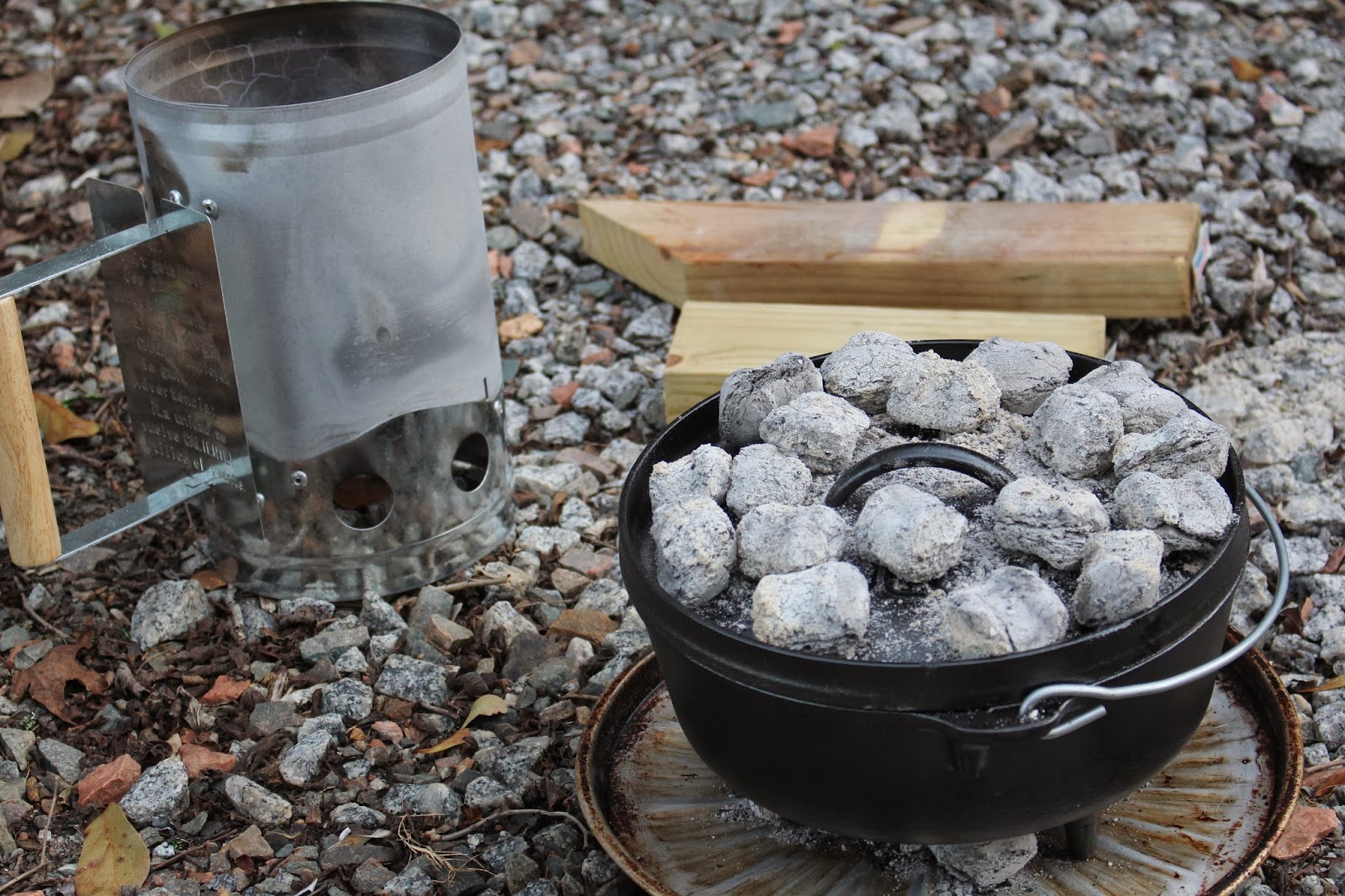 Ms Bettencourt's Next Voyage: Boat biscuits!
