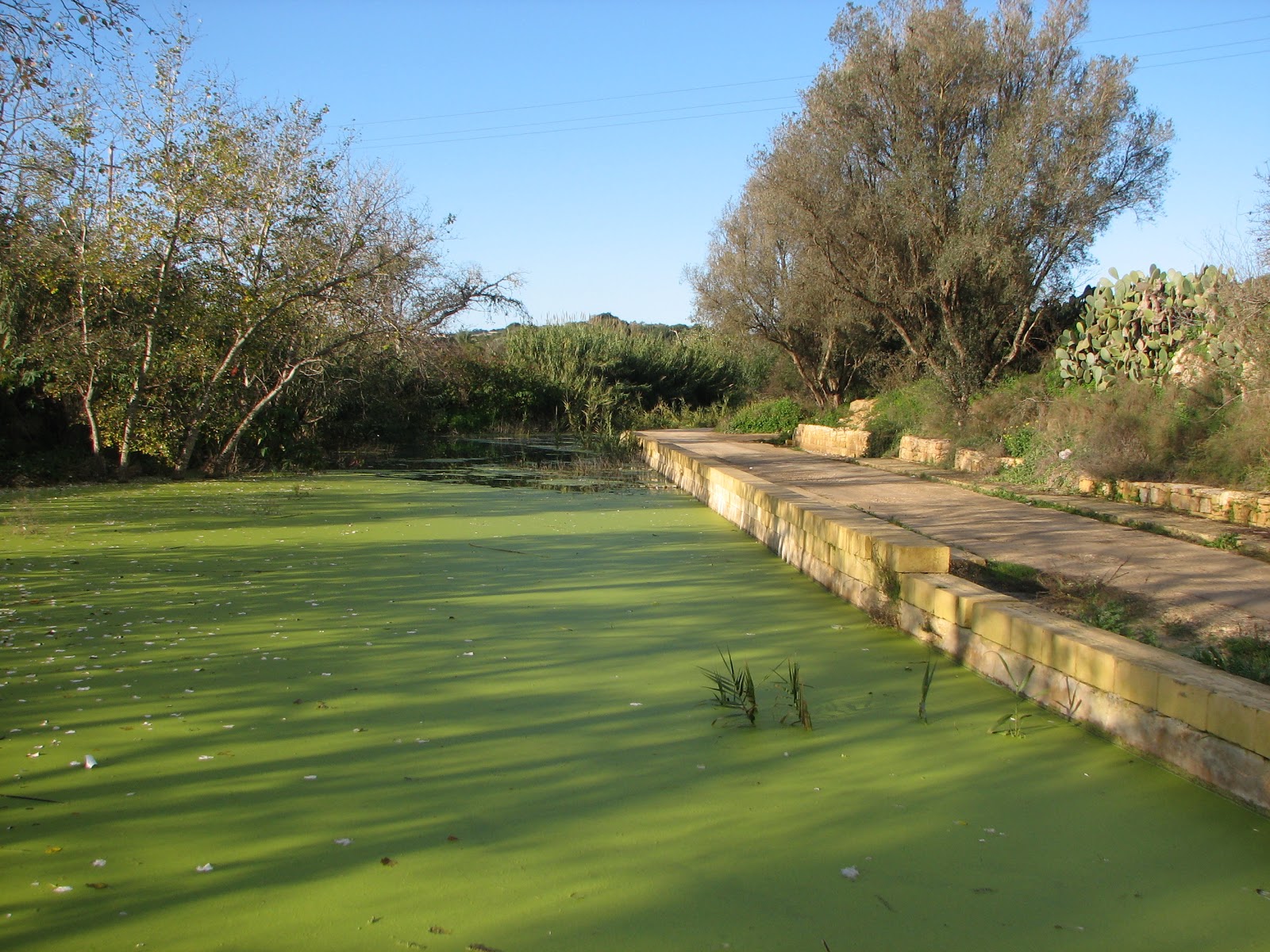 Best Scenes in Malta: Chadwick Lakes Malta