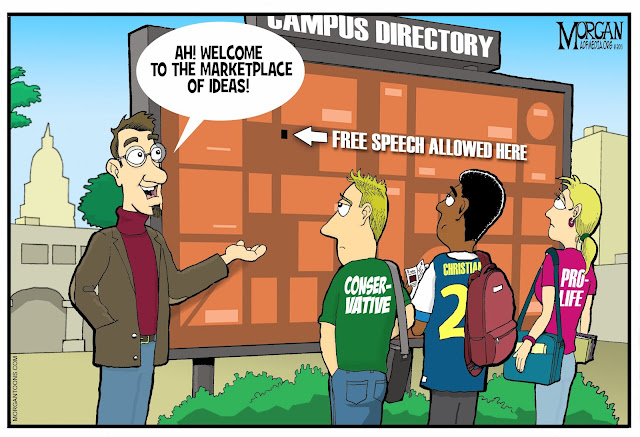 American Universities: Where One Can Only Hope for Rights