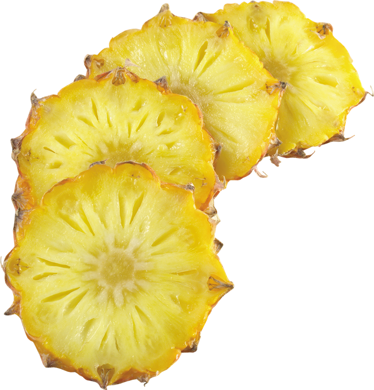 ® Gifs y Fondos Paz enla Tormenta ®: IMÁGENES DE PIÑAS