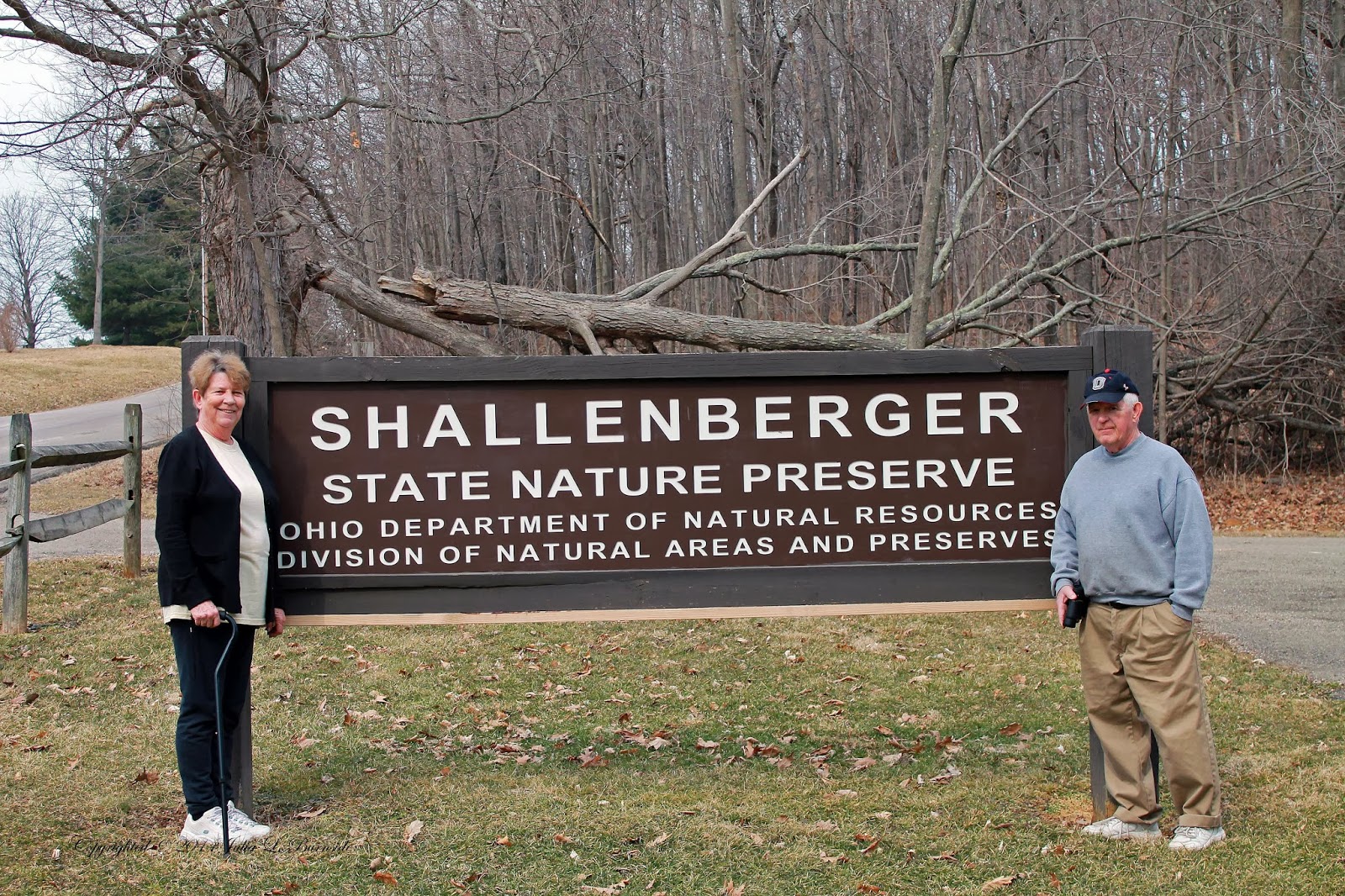 Moderately Active Ohio: Shallenberger State Nature Preserve