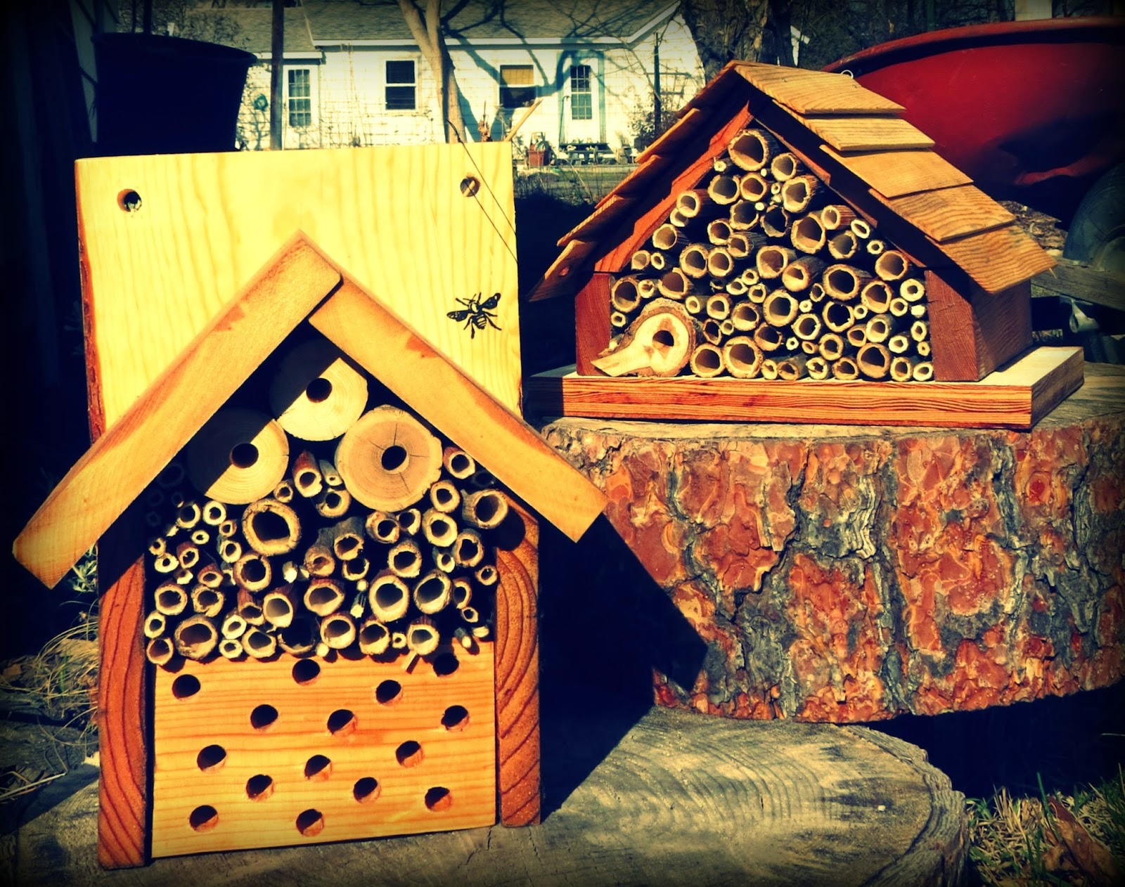 Flora montana: So you want to build a Pollinator Hotel...