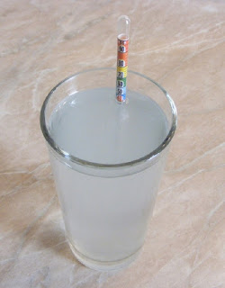 Tuica de casa | Retete Culinare : Preparatedevis.ro