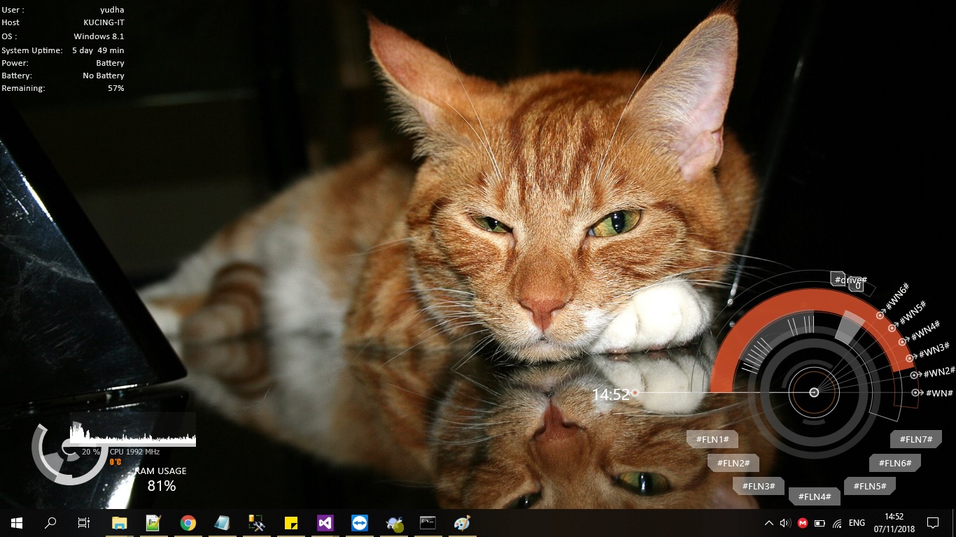 Windows 10 Dengan Tema Kucing ~ Yudha's World