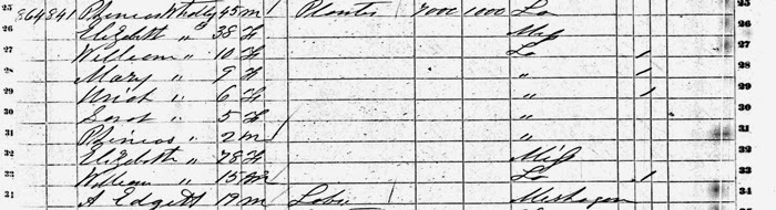 Roots From The Bayou: Phineas and Elizabeth Tovery Whatley Family