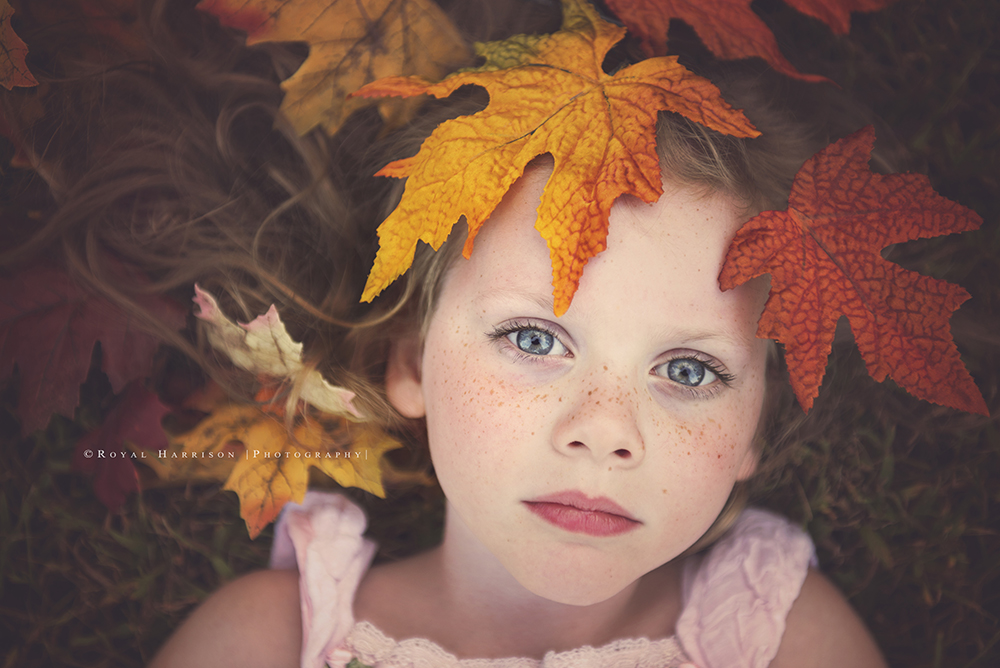 Royal Harrison Photography