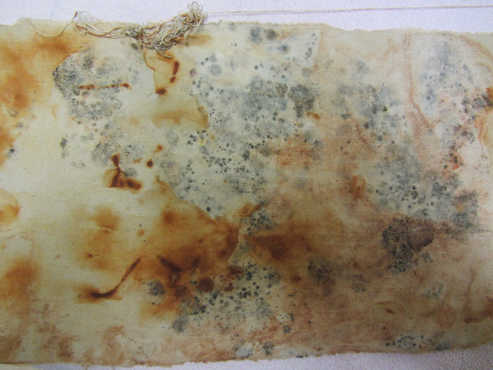 gypsy czech: Rusting Fabric/Collage - WOYWW #231