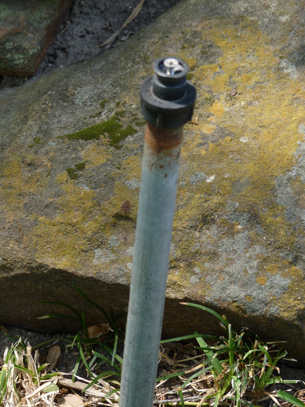 This Old House: Remnants of an Old Sprinkler System