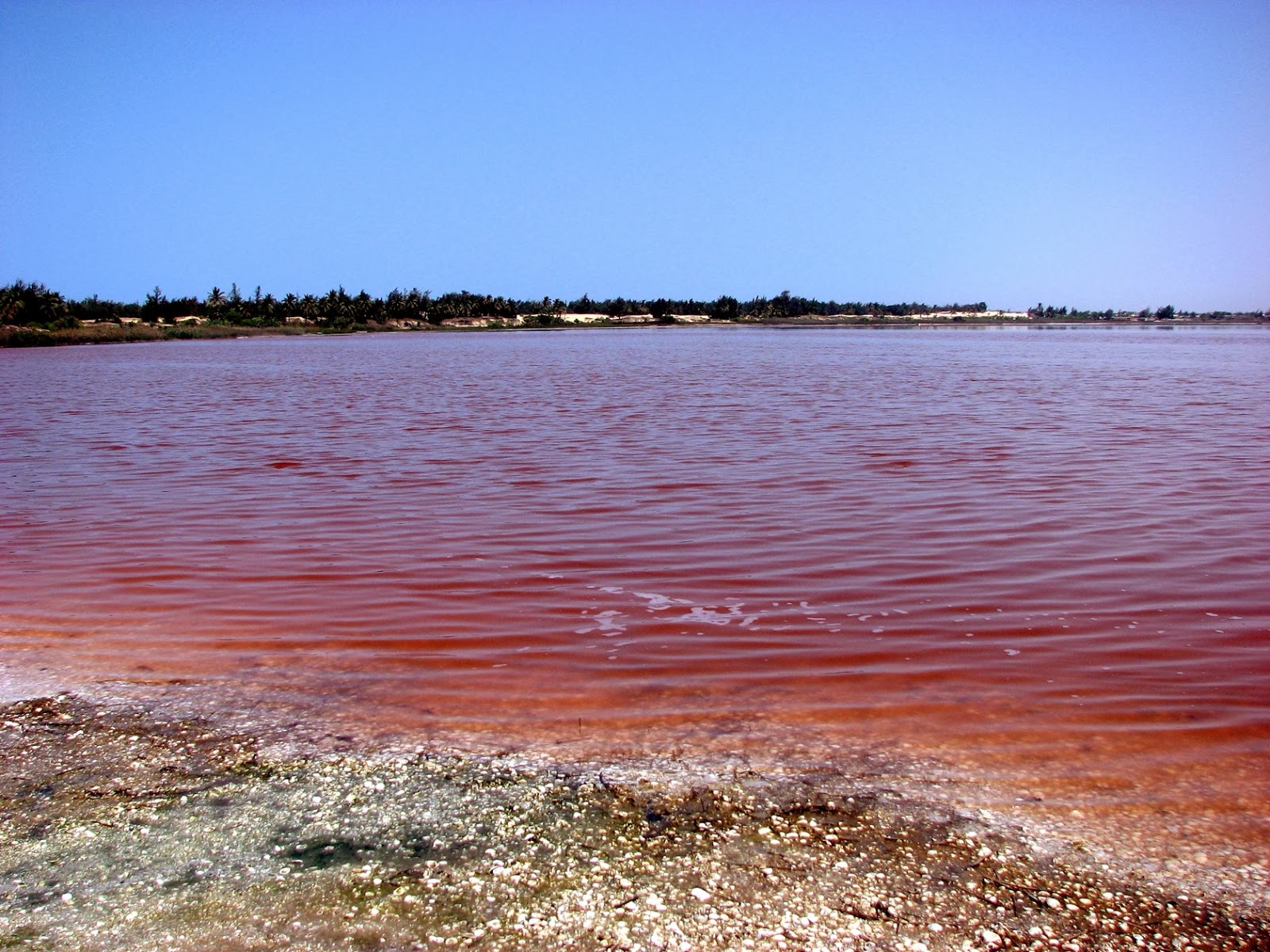 Lac Rose, Senegal | Amazing World's Wonders