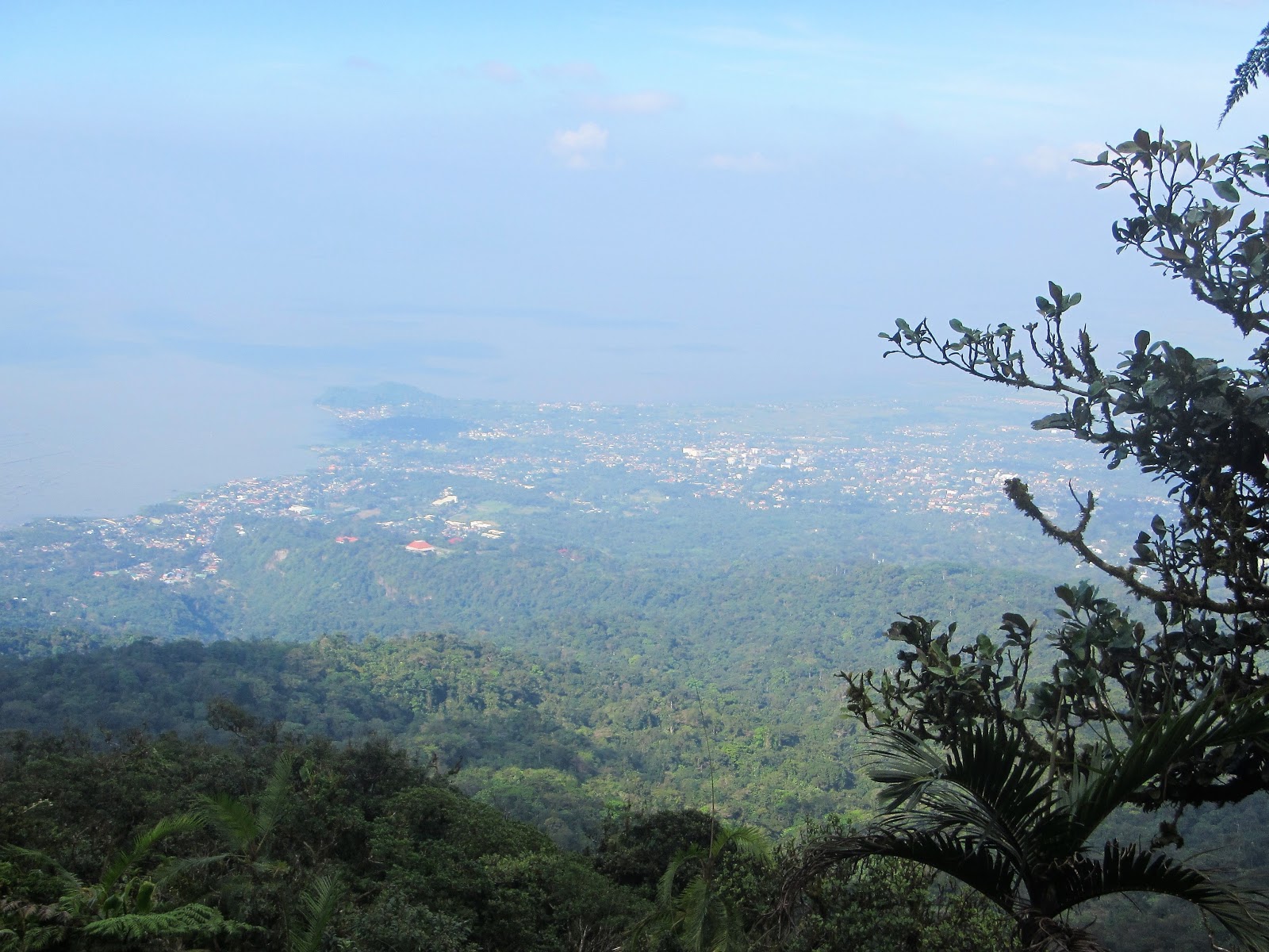 LEXICAL CROWN: A DAY CLIMB IN MOUNT MAKILING PEAK 2 FOR AS LOW AS P420