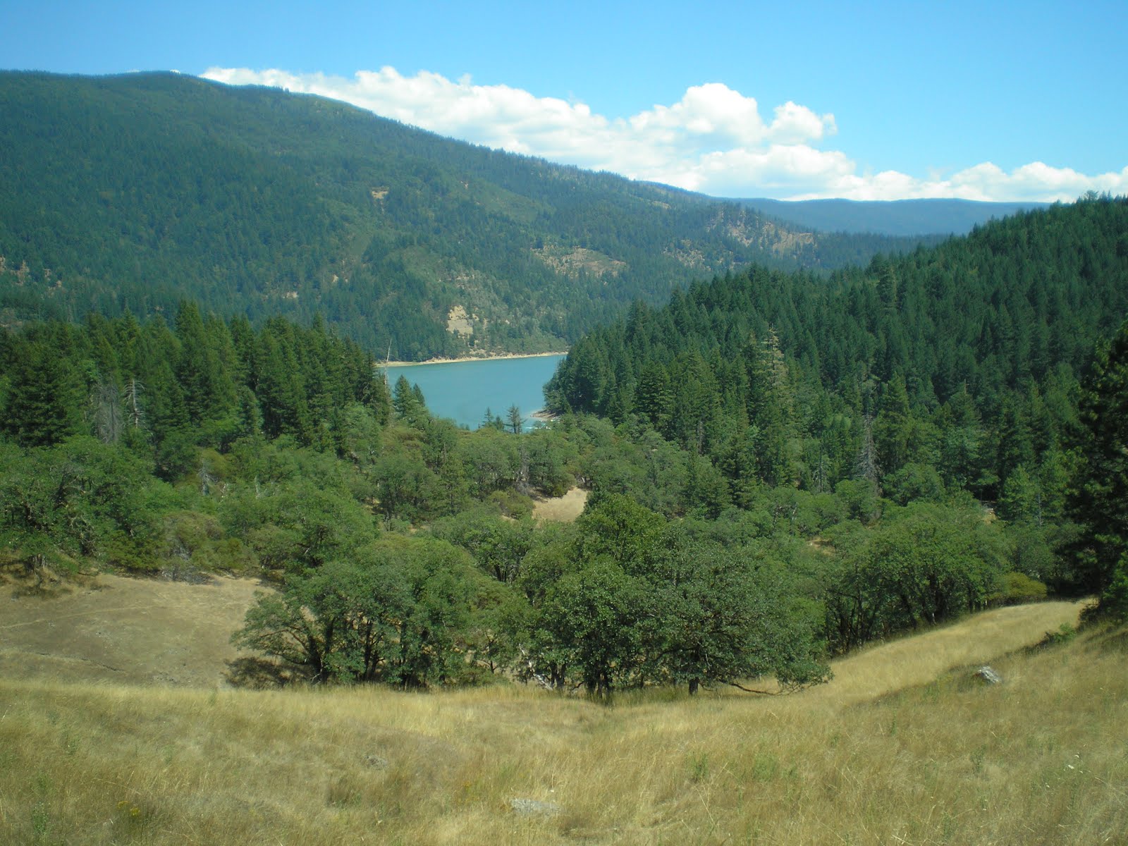 The Road Genealogist: Ruth Lake to Laytonville to Cleone, CA