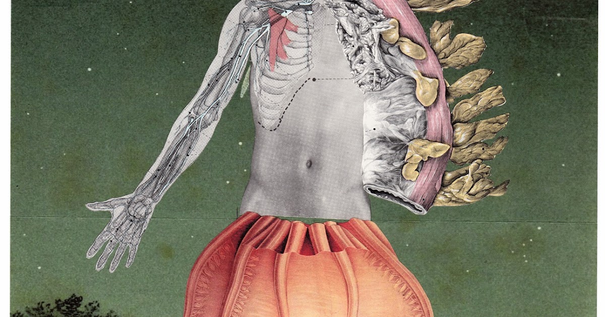 Regular Paper: The Exquisite Corpse