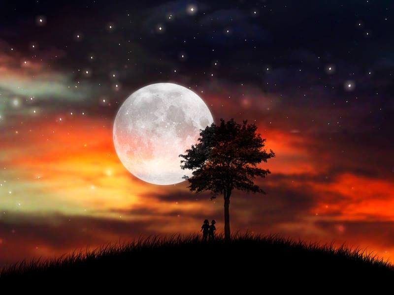 Unseen rare Moon pics - webviews